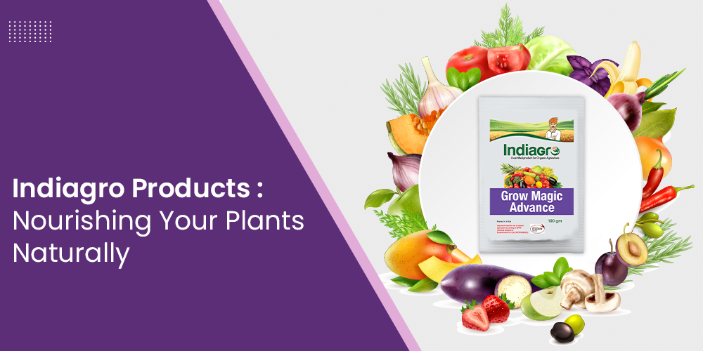 Indiagro Product and Mi Lifestyle: Nourishing Your Agricultural Growth